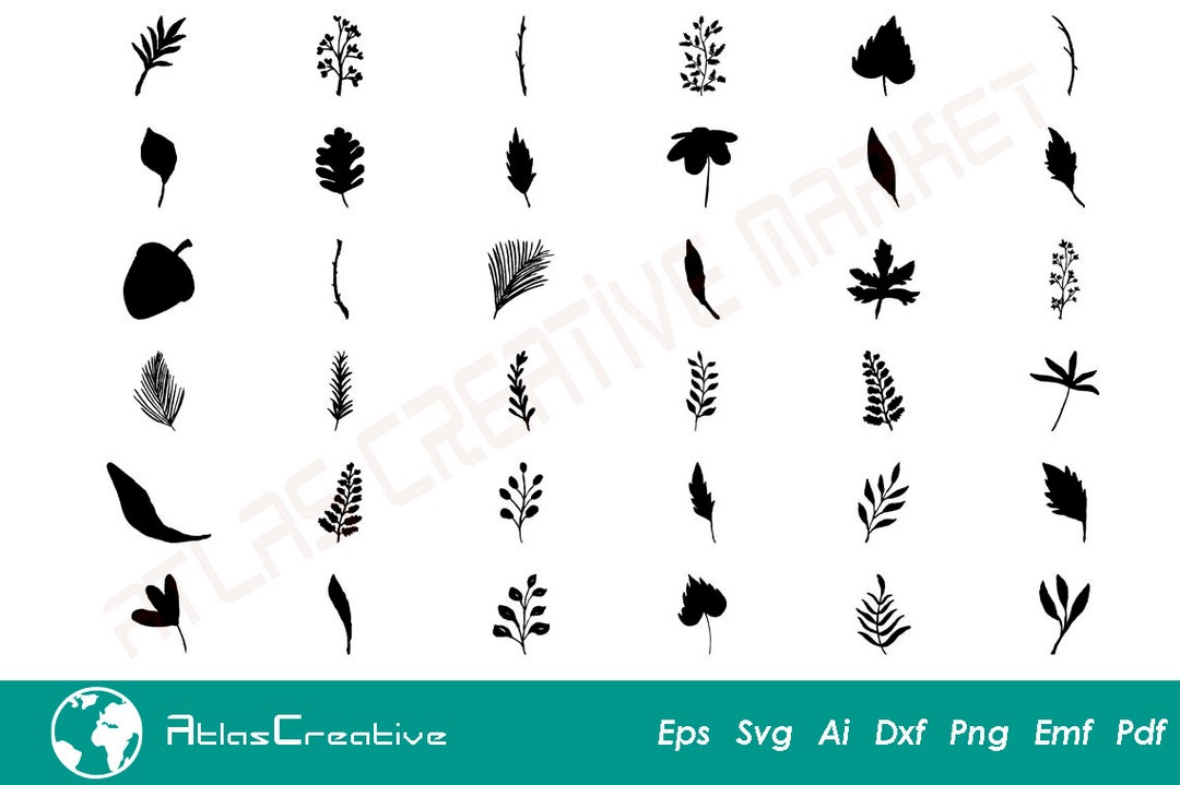 Leaves Svg File, Leaf Svg Bundle, Floral Botanical Leaf, Leaf Bundles ...
