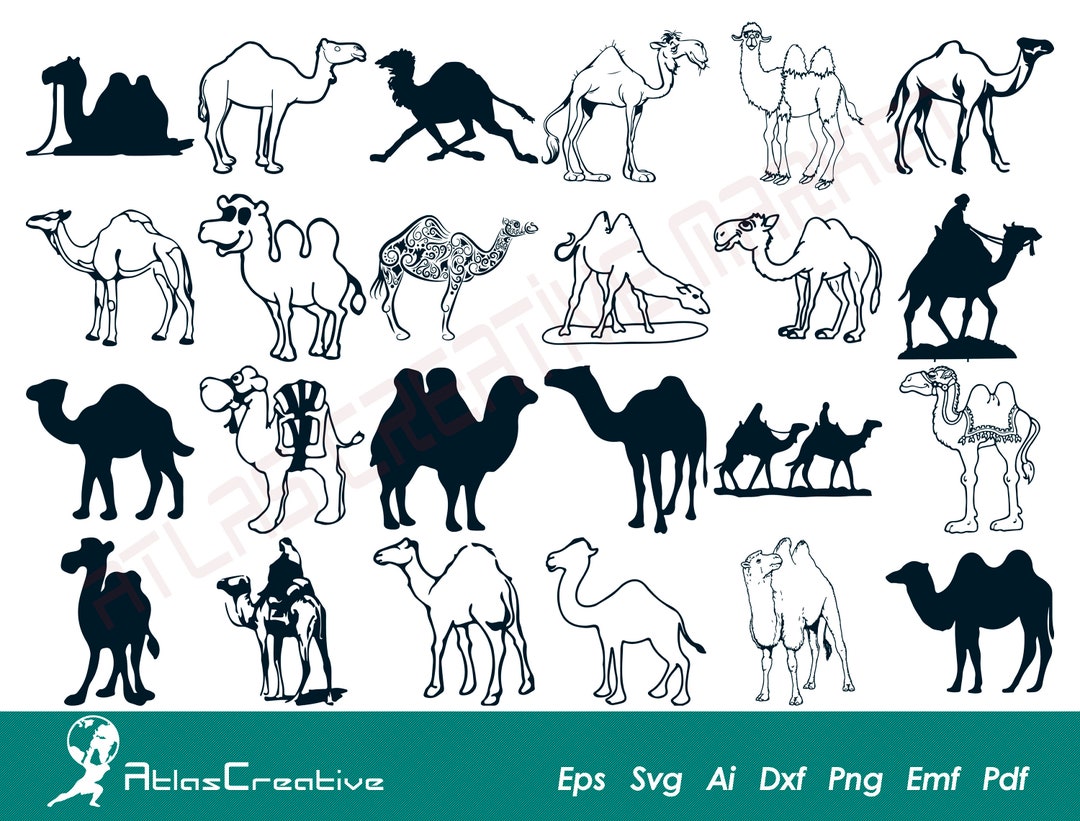Camel SVG (24) Bundle, Desert Animal Svg, Camel Silhouette, Wild Animal ...