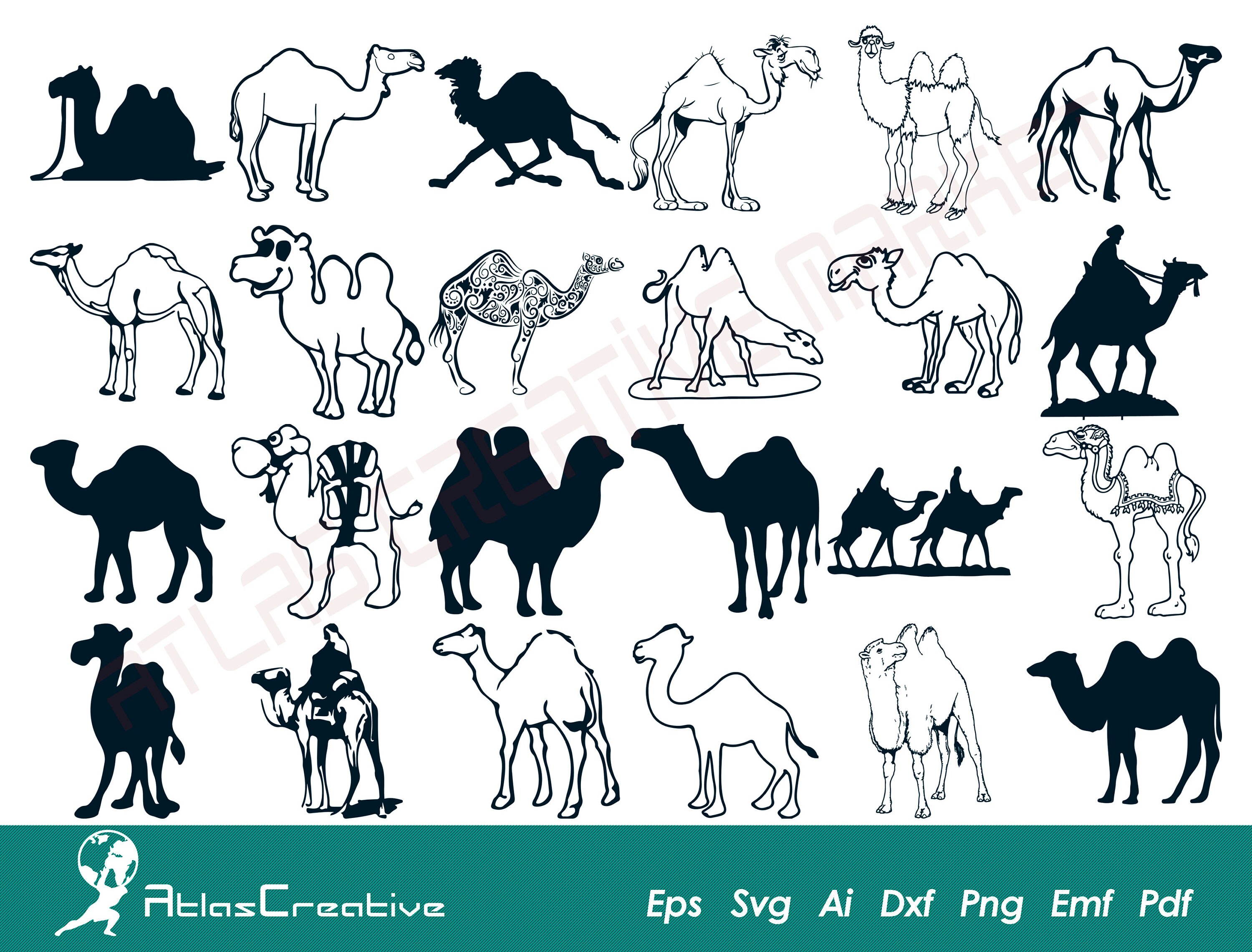 Camel SVG (24) Bundle, Desert Animal Svg, Camel Silhouette, Wild Animal ...