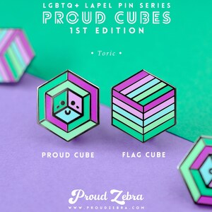 Toric Pin Flag Cube Geometric LGBTQ Pin Lapel Badge Brooch - Etsy