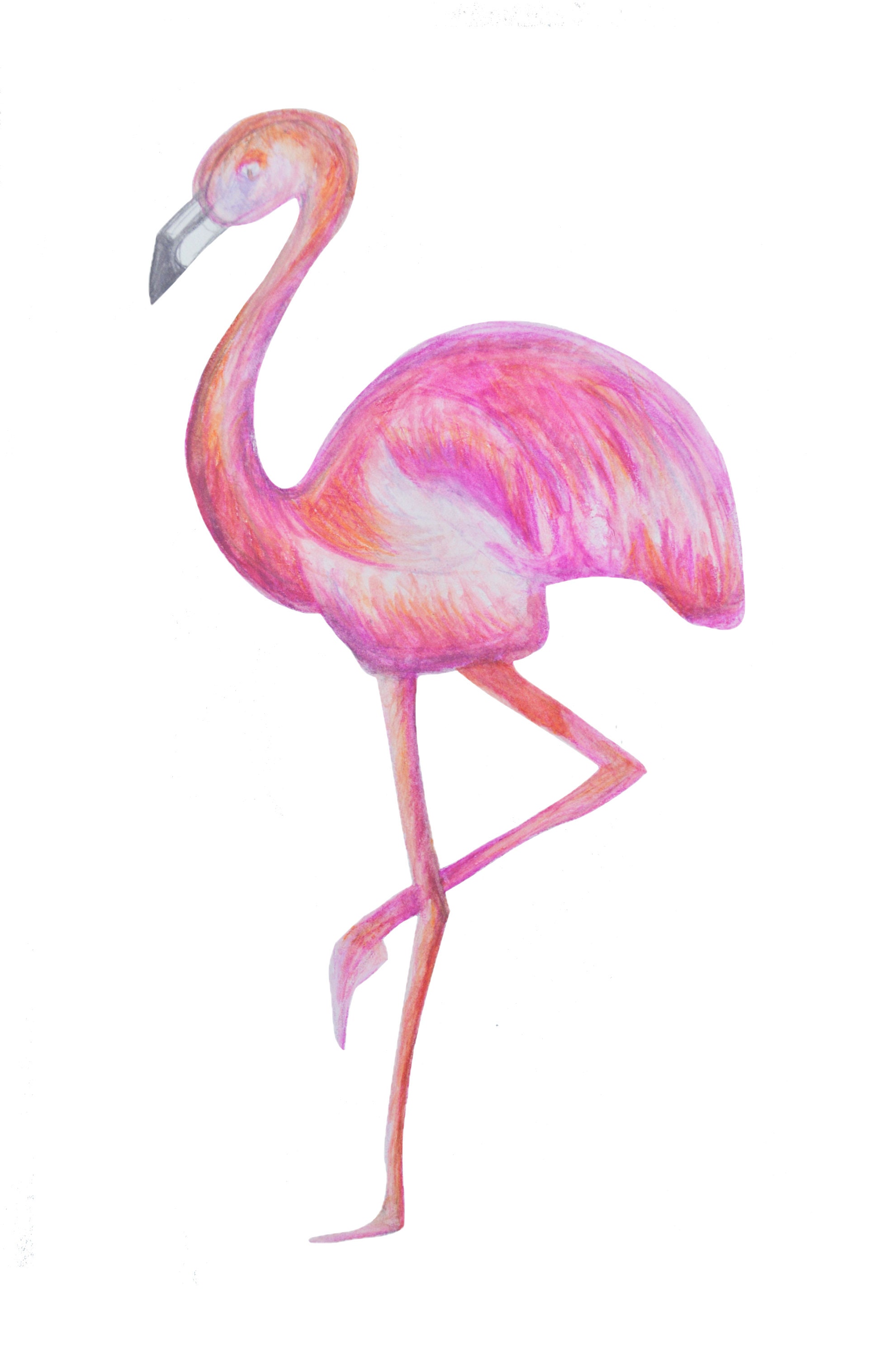 Flamingo Original Art Print - Etsy