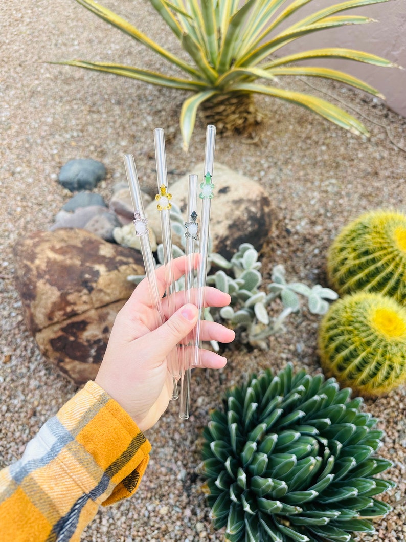 Drinking Glass Straws - Turtle Add On - Etsy