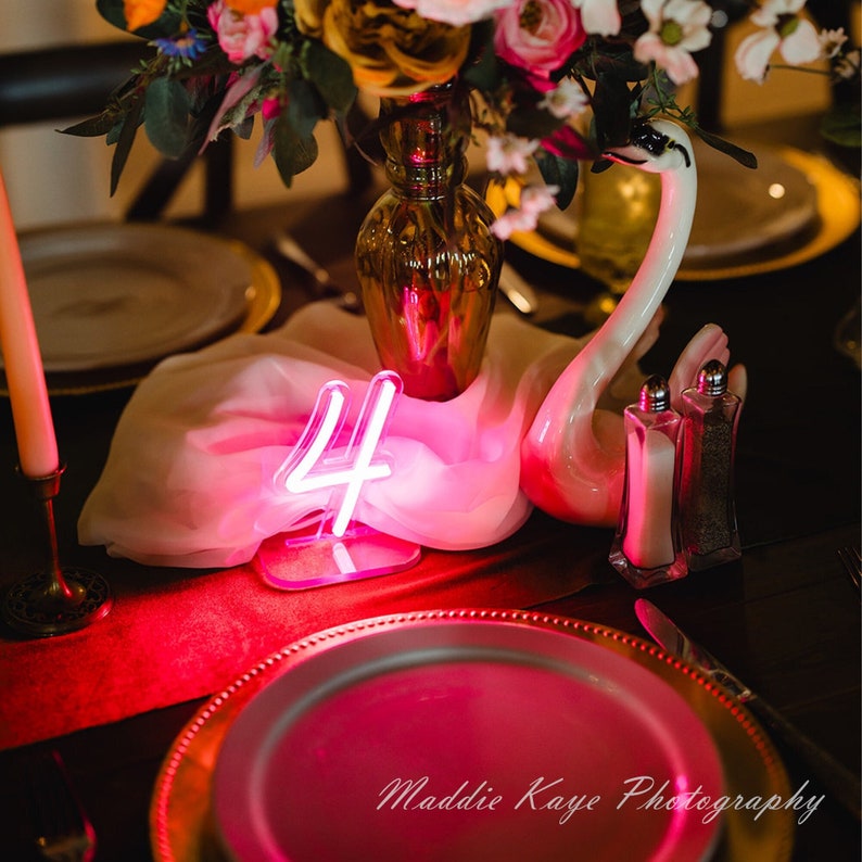 12cm Neon Table Number Light Mini Number Usb/battery Powered LED Neon ...