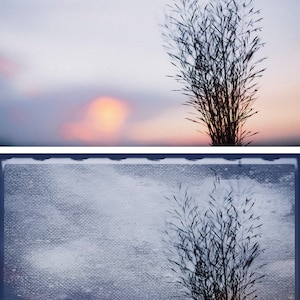 Cyanotype Textures, Photoshop Textures, Photoshop Overlays, Fine Art ...