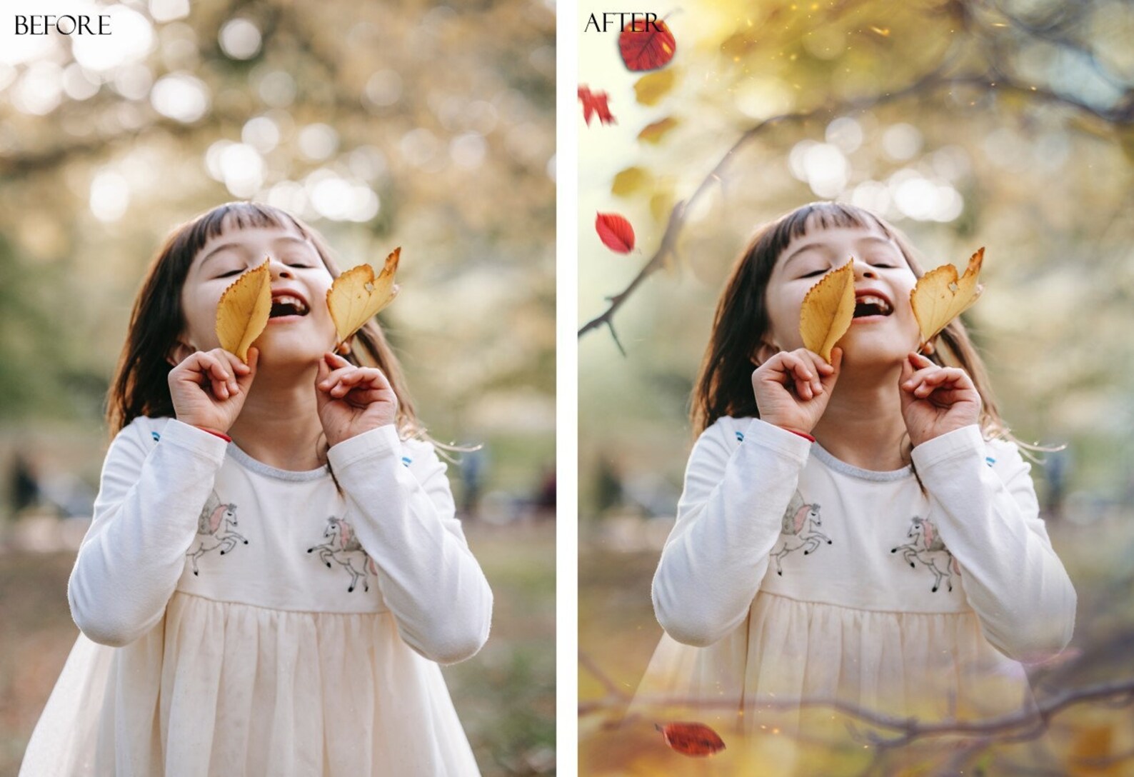 Photoshop Overlays Magical Fall Overlays Clipping Masks - Etsy