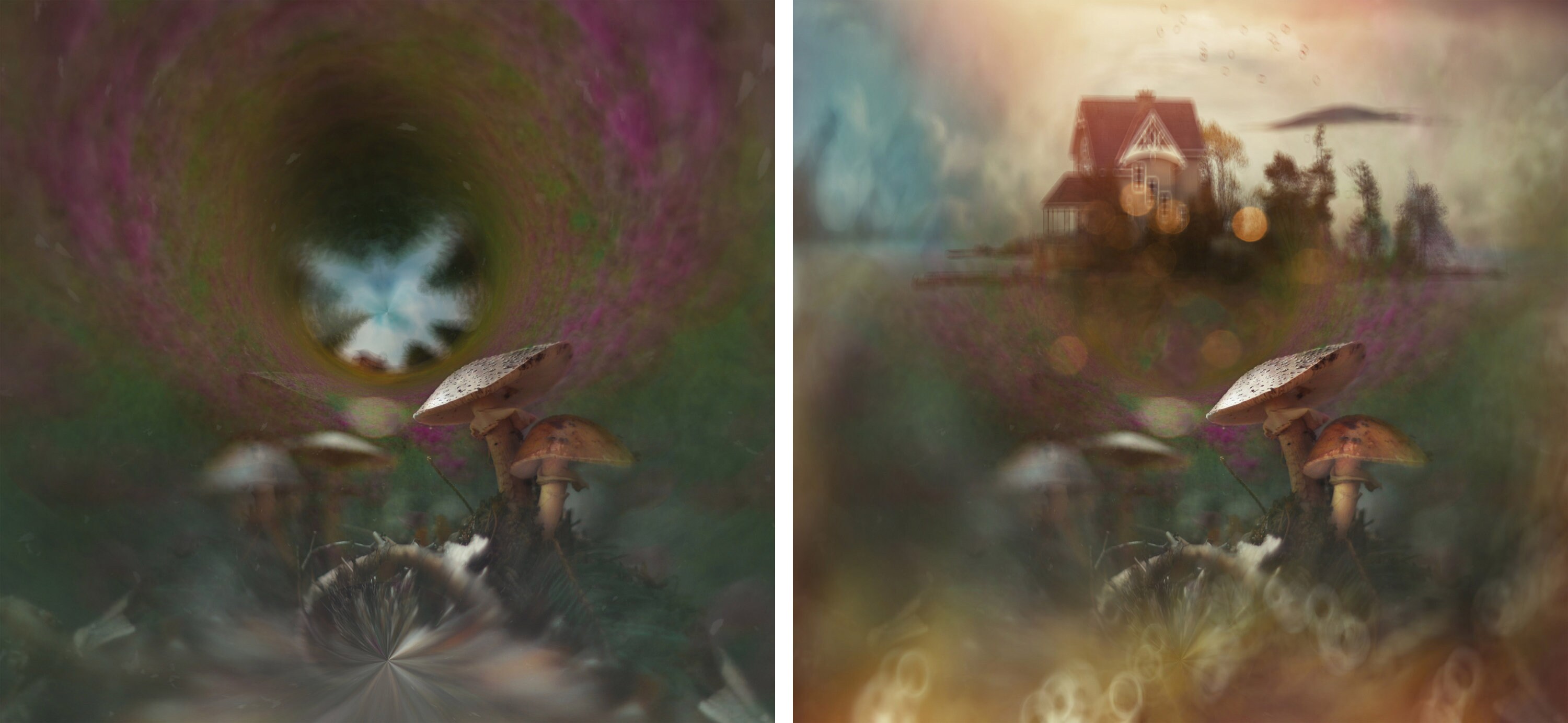 Magical Land Overlays Photoshop Overlays Transparent PNG - Etsy