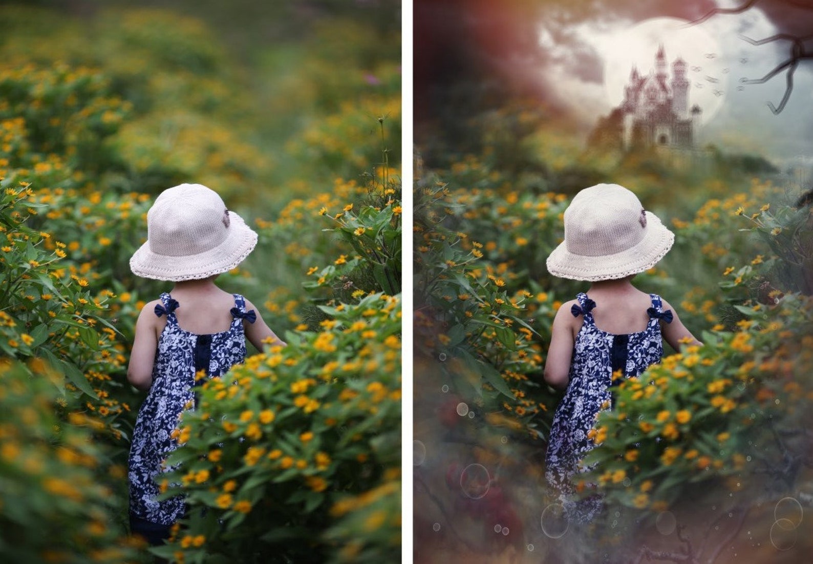 20 Magical Land Overlays, Photoshop Overlays, Transparent PNG, Clipping ...