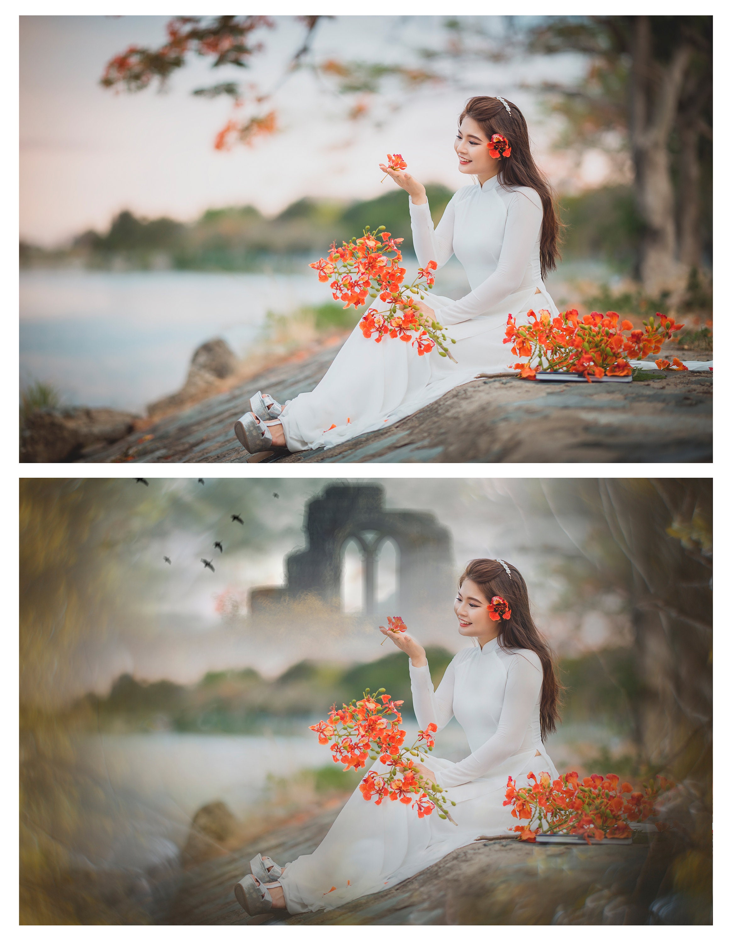 20 Magical Land Overlays Photoshop Overlays Transparent PNG | Etsy Canada