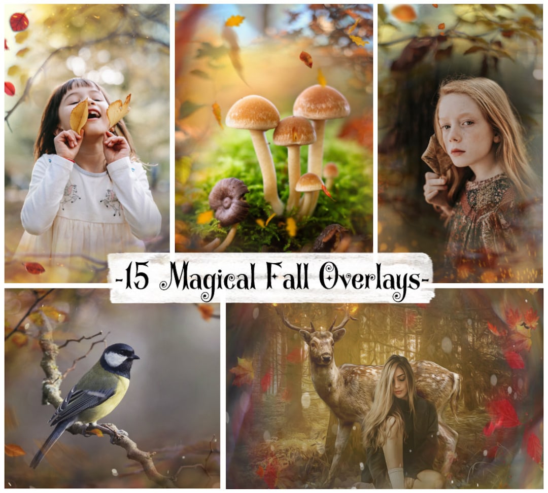 15 Photoshop Overlays, Magical Fall Overlays, Clipping Masks, Photo ...