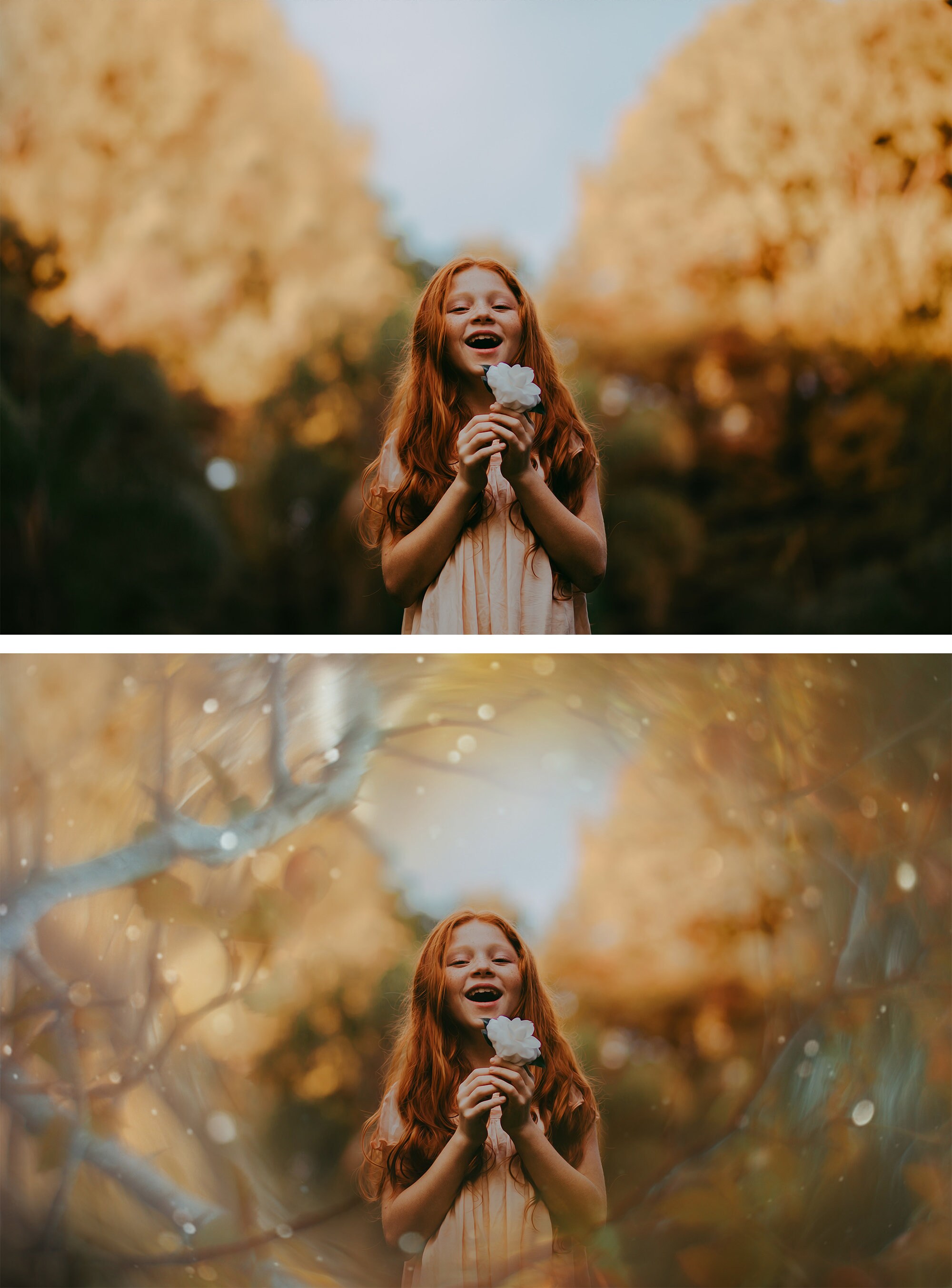 10 Swirly Bokeh Overlays Photoshop Overlays Blossom Flowers | Etsy