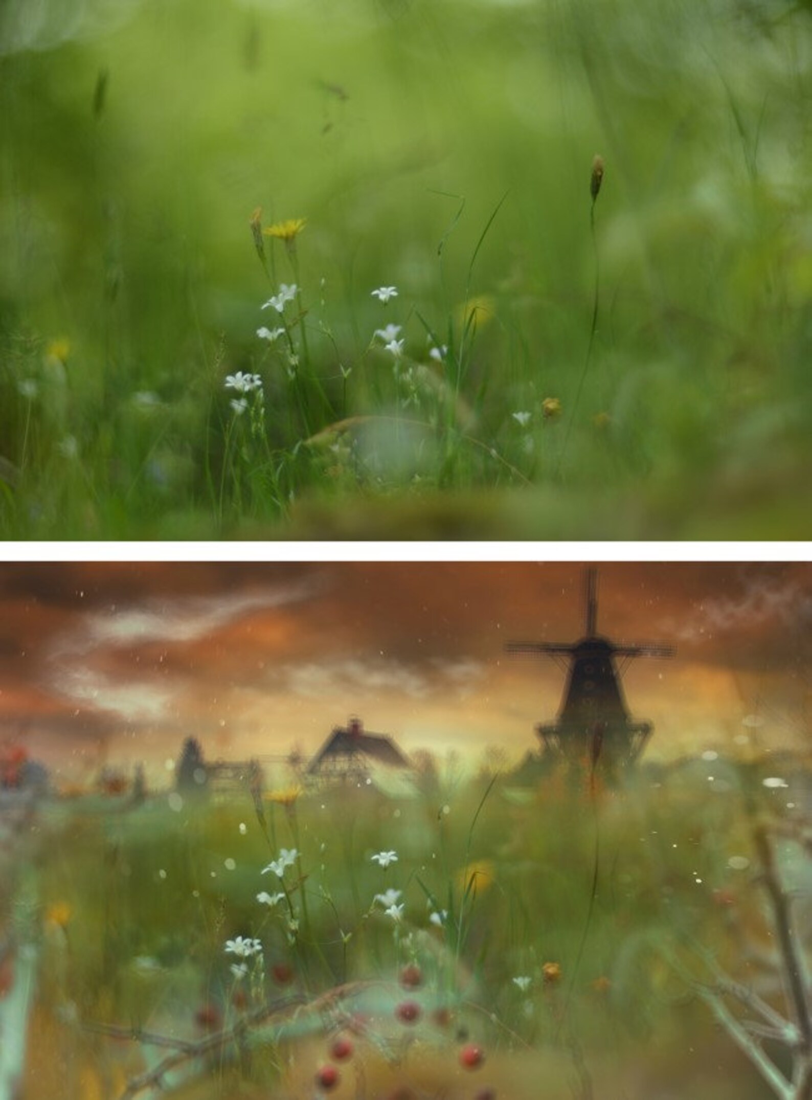 20 Magical Land Overlays Photoshop Overlays Transparent PNG - Etsy