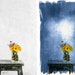 Cyanotype Textures, Photoshop Textures, Photoshop Overlays, Fine Art ...
