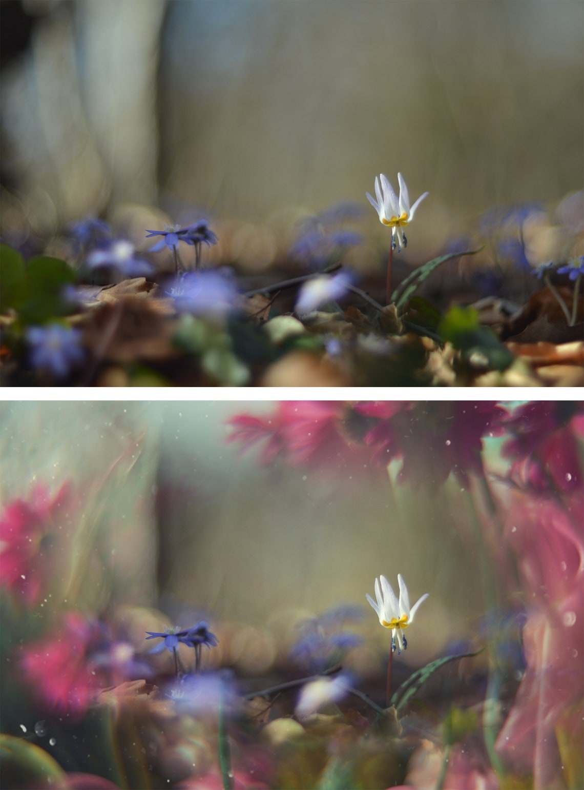 10 Bokeh Overlays, Photoshop Overlays, Bokeh Overlays, Clipping Masks ...