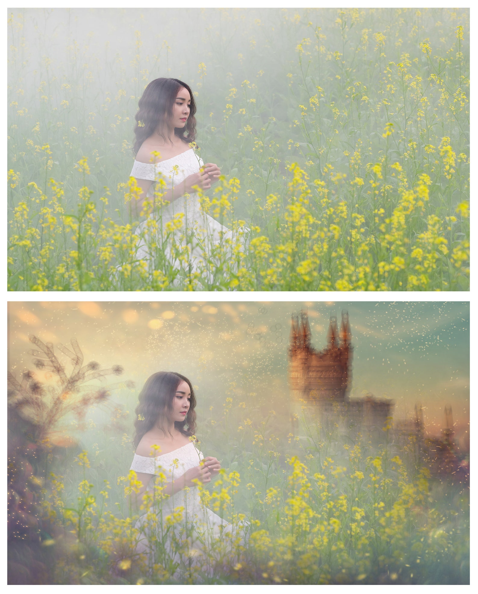 Magical Land Overlays Photoshop Overlays Transparent PNG - Etsy