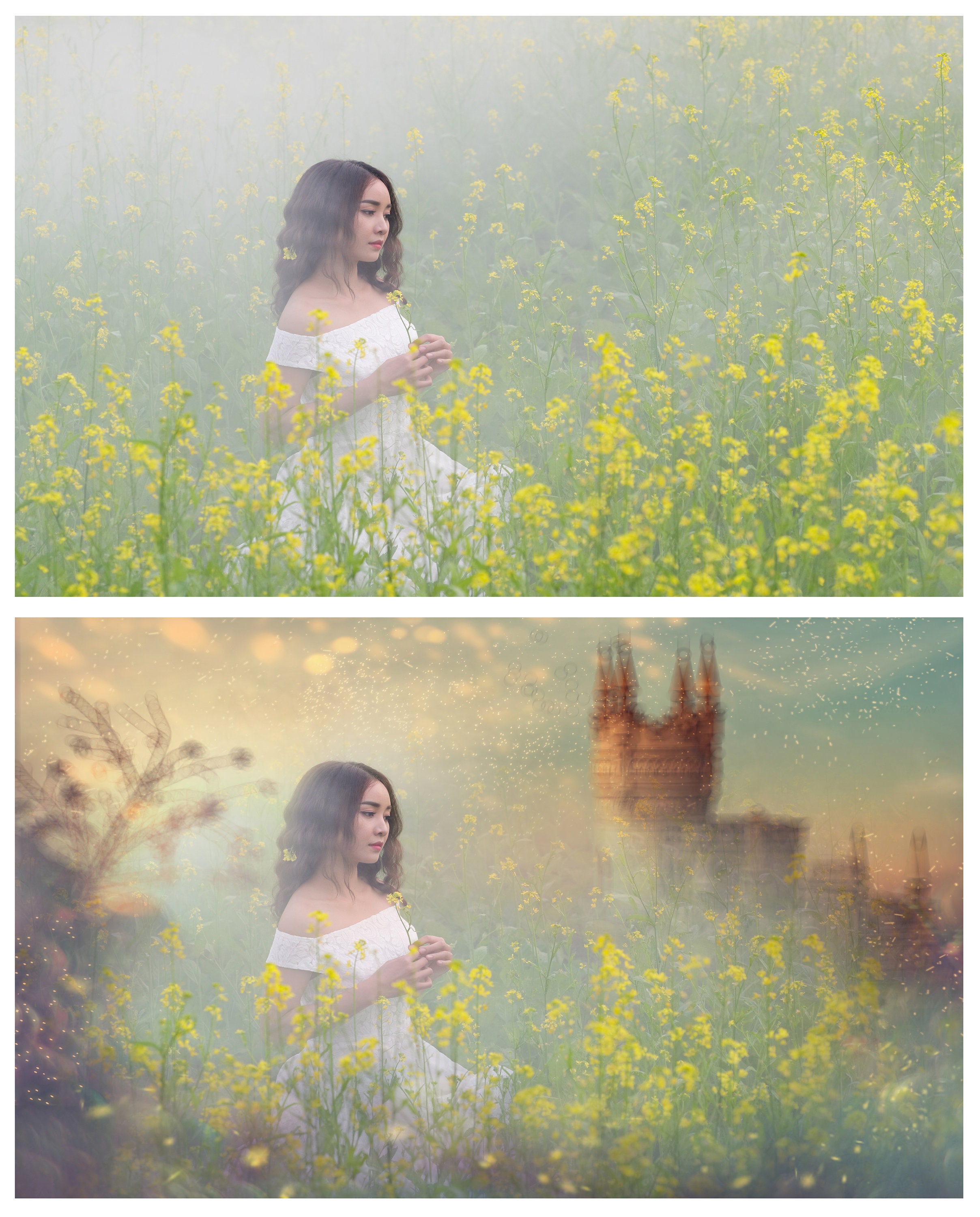 Magical Land Overlays Photoshop Overlays Transparent PNG - Etsy