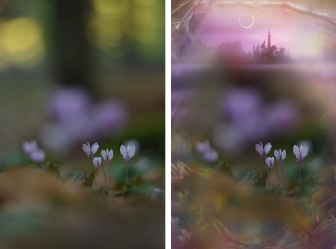 20 Magical Land Overlays Photoshop Overlays Transparent PNG - Etsy