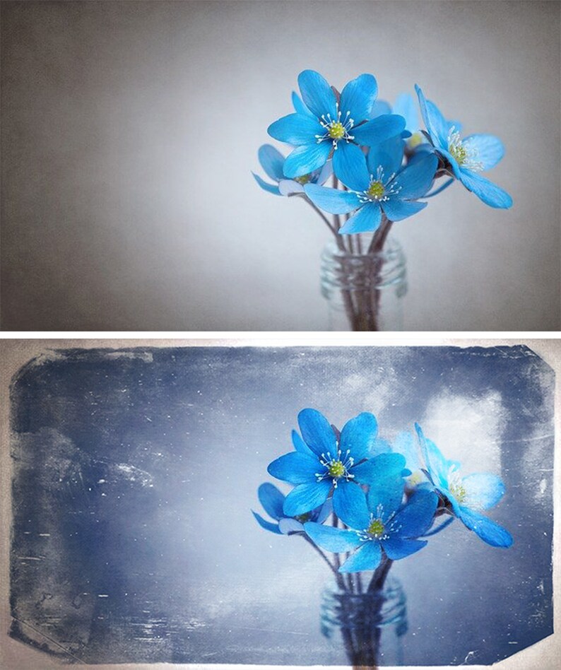 Cyanotype Textures, Photoshop Textures, Photoshop Overlays, Fine Art ...