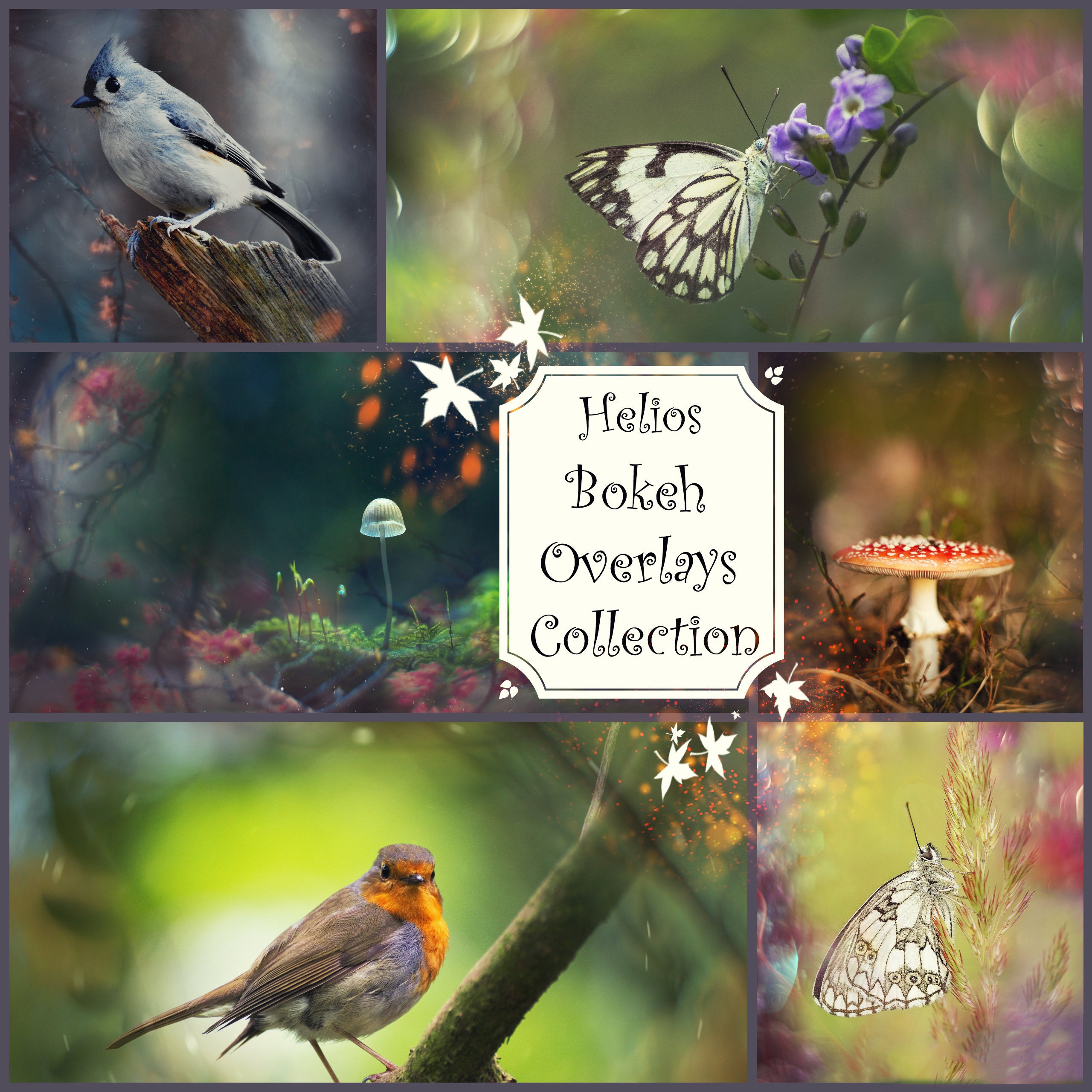 85 Photoshop Overlays Clipping Masks Bokeh Overlays Magical | Etsy