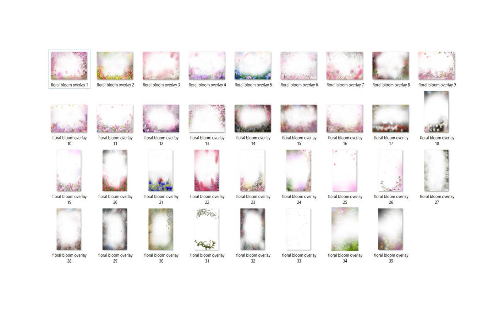 35 Floral Bloom Overlays, Photoshop Overlays, Flower Overlays, Bokeh ...