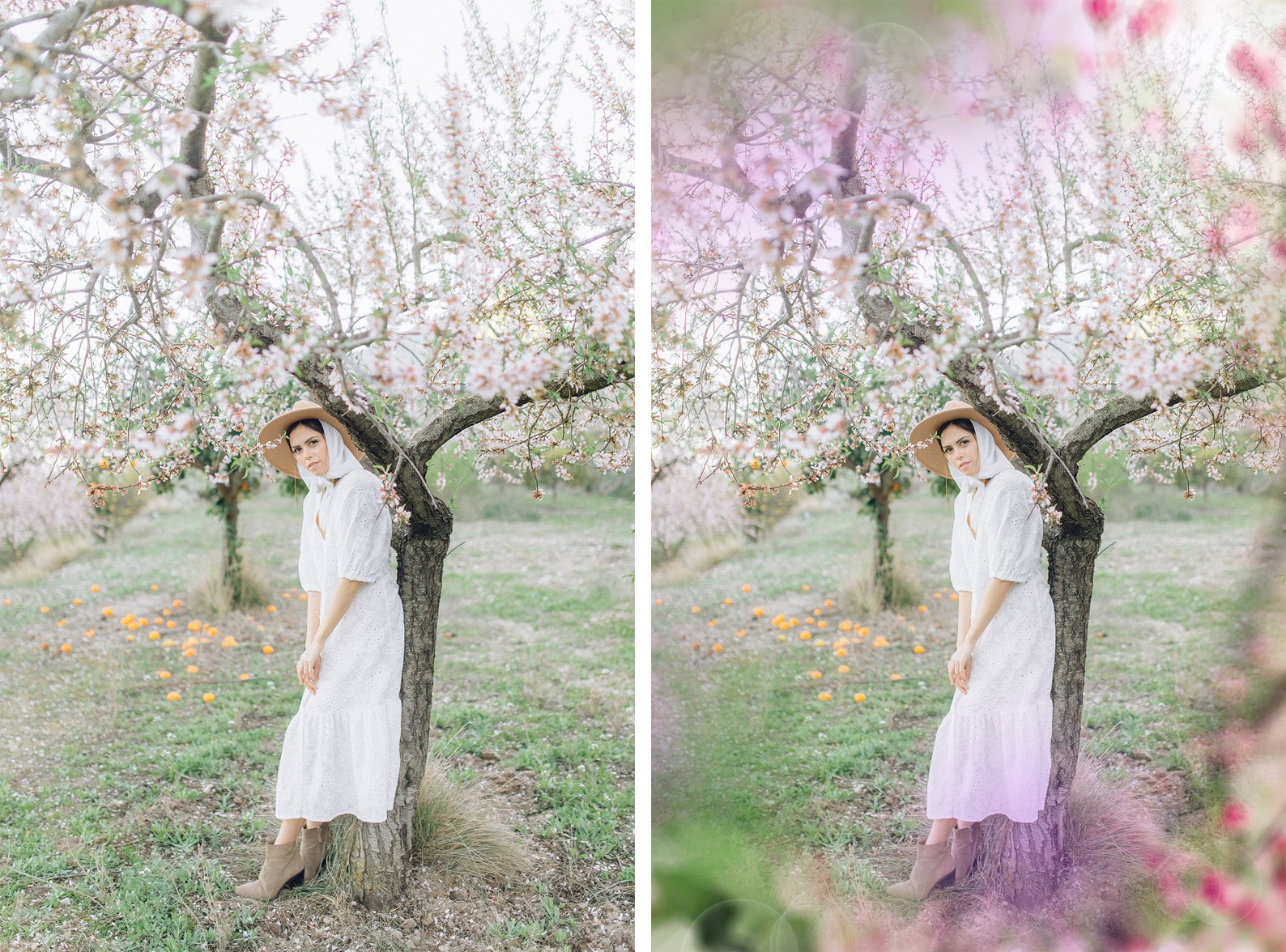 35 Floral Bloom Overlays, Photoshop Overlays, Flower Overlays, Bokeh ...