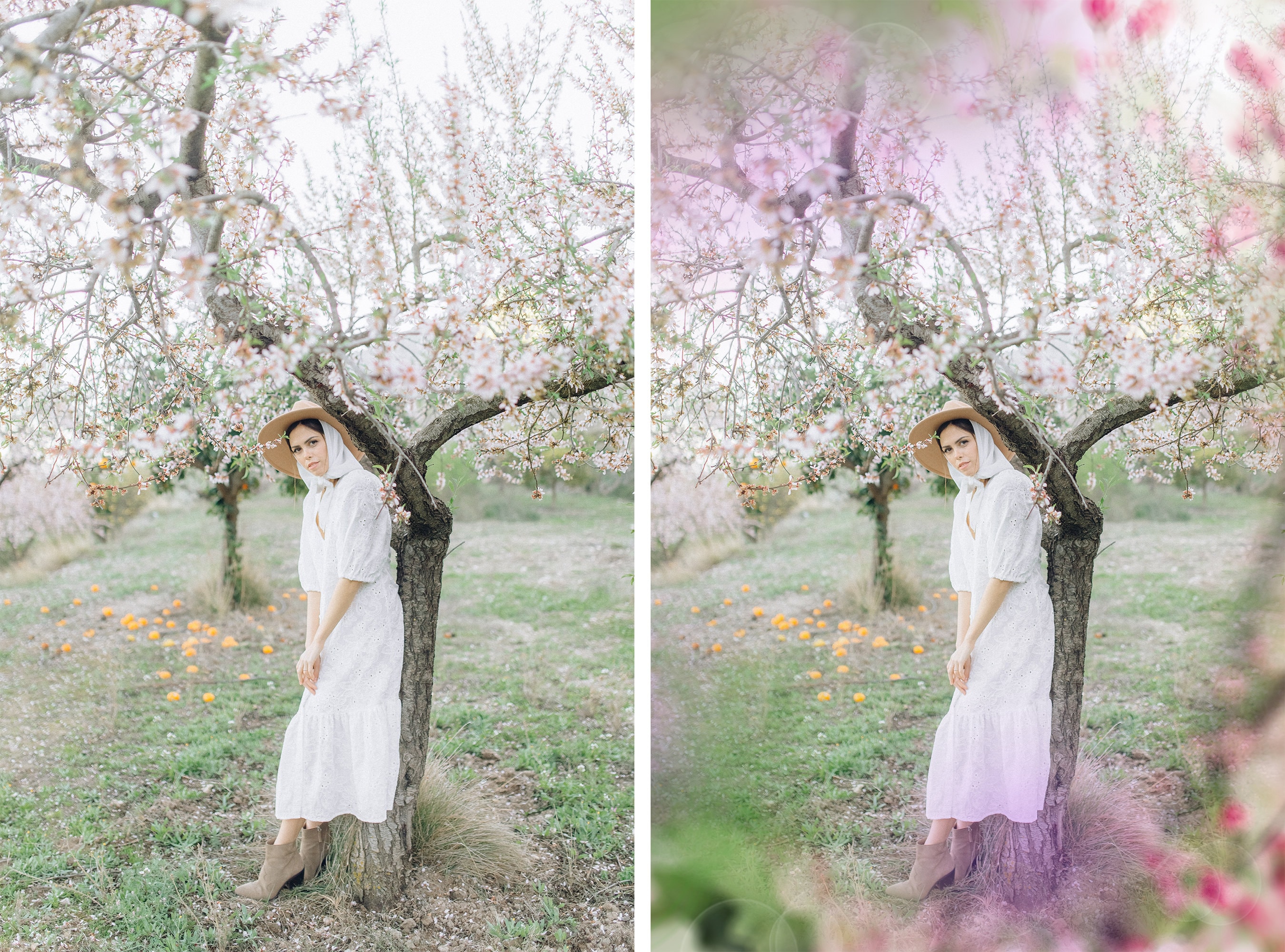 35 Floral Bloom Overlays, Photoshop Overlays, Flower Overlays, Bokeh ...