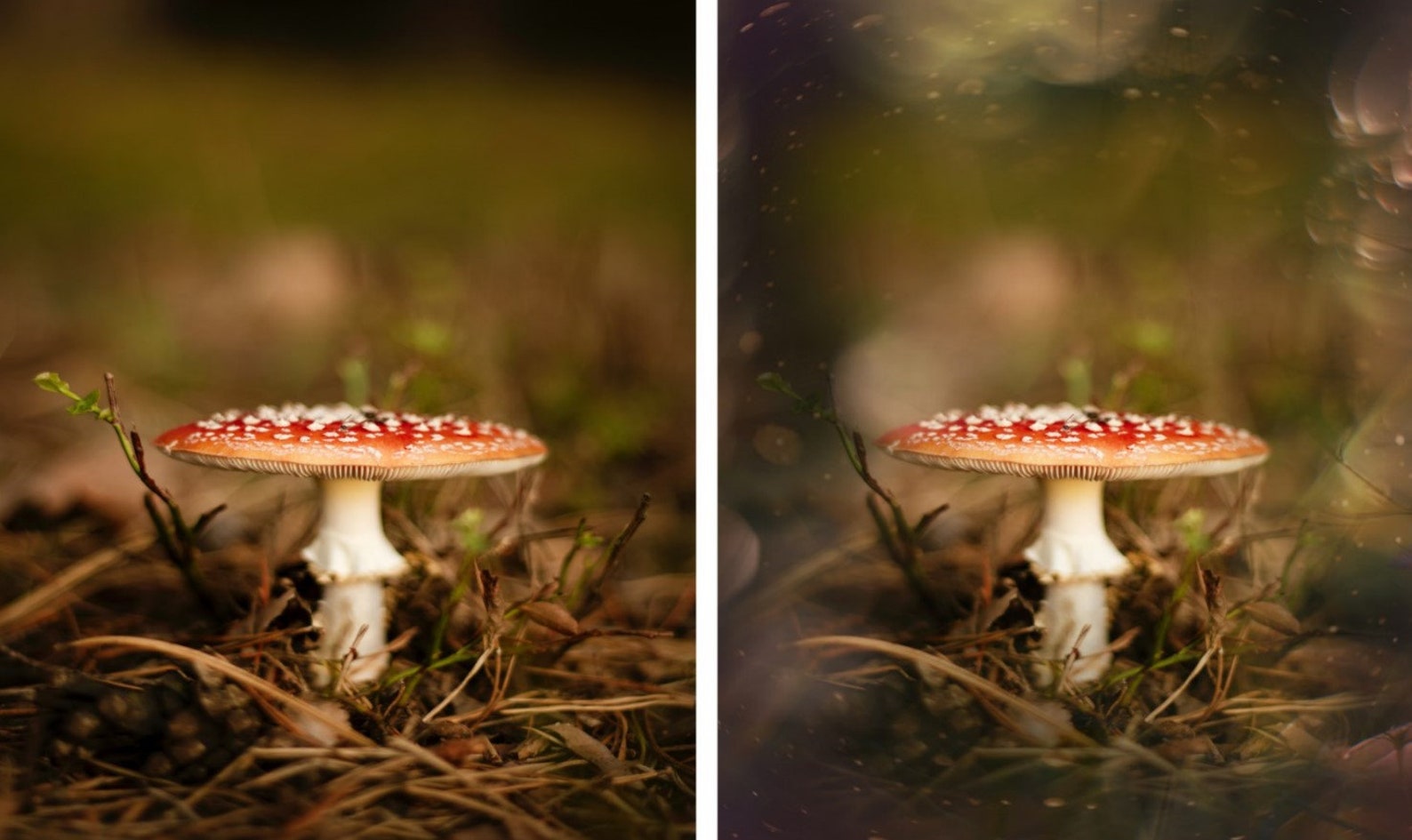 35 Helios Bokeh Overlays, Photoshop Overlays, Blossom Flowers Overlays ...