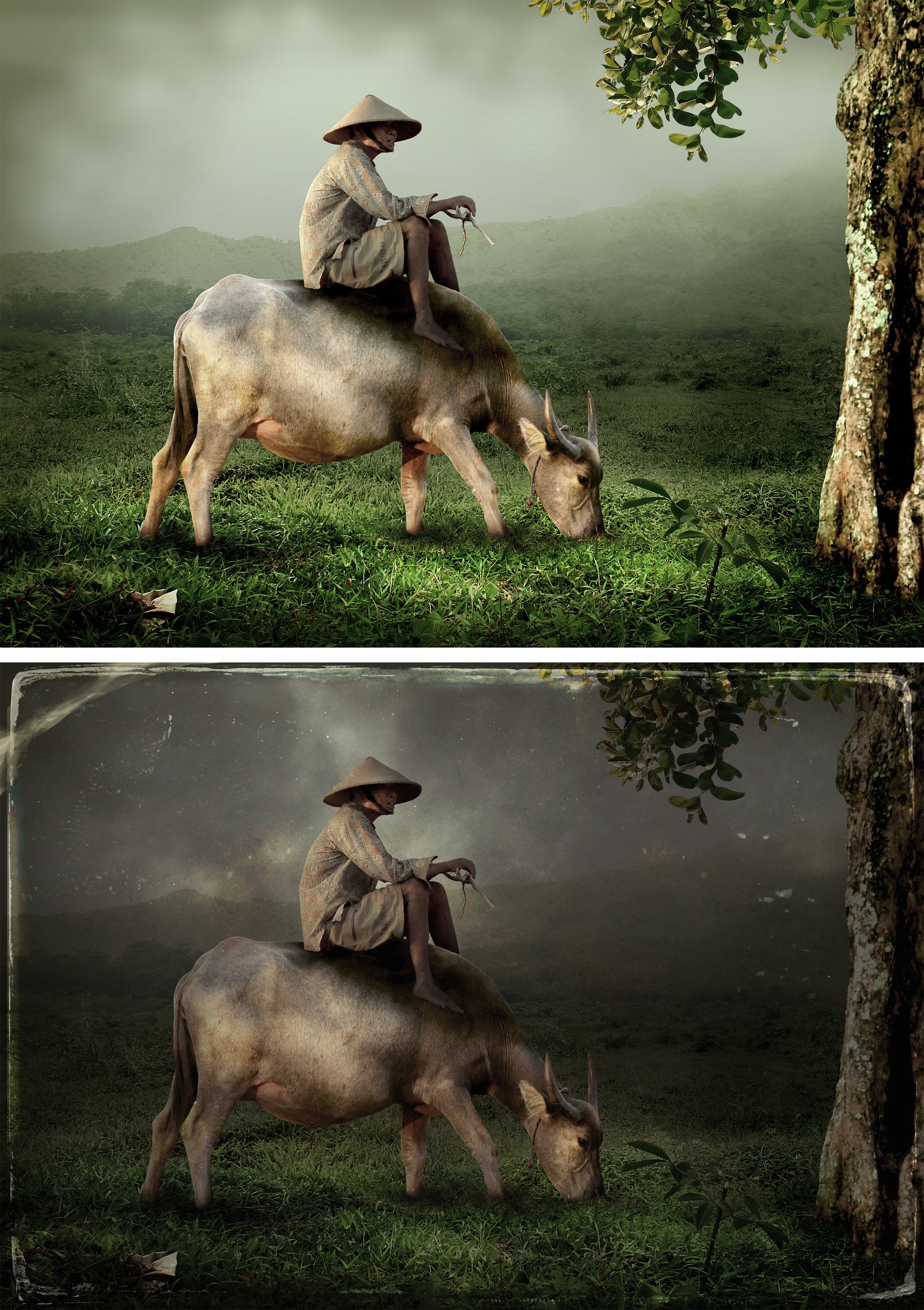 Tintype Fine Art Textures Wet Plate Collodion Textures - Etsy