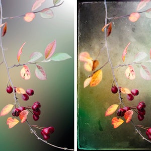 Tintype Fine Art Textures, Wet Plate Collodion Textures, Vintage ...