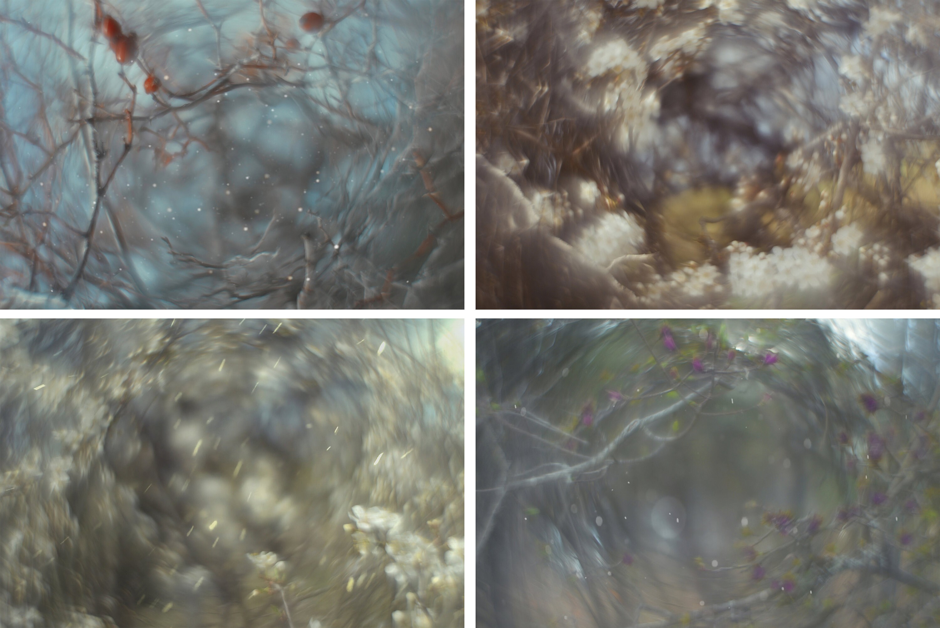 10 Swirly Bokeh Overlays, Bokeh Backgrounds, Nature Bokeh, Photoshop ...