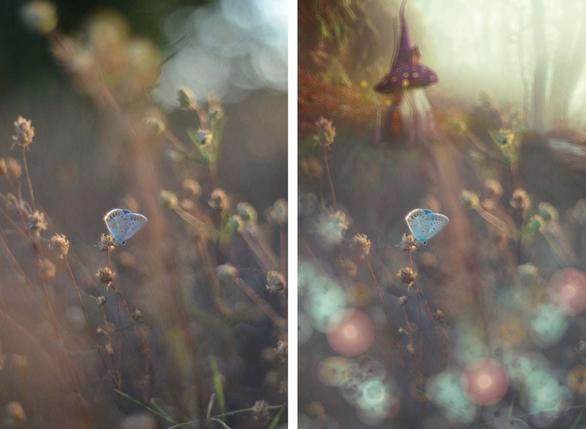 Magical Land Overlays Photoshop Overlays Transparent PNG - Etsy