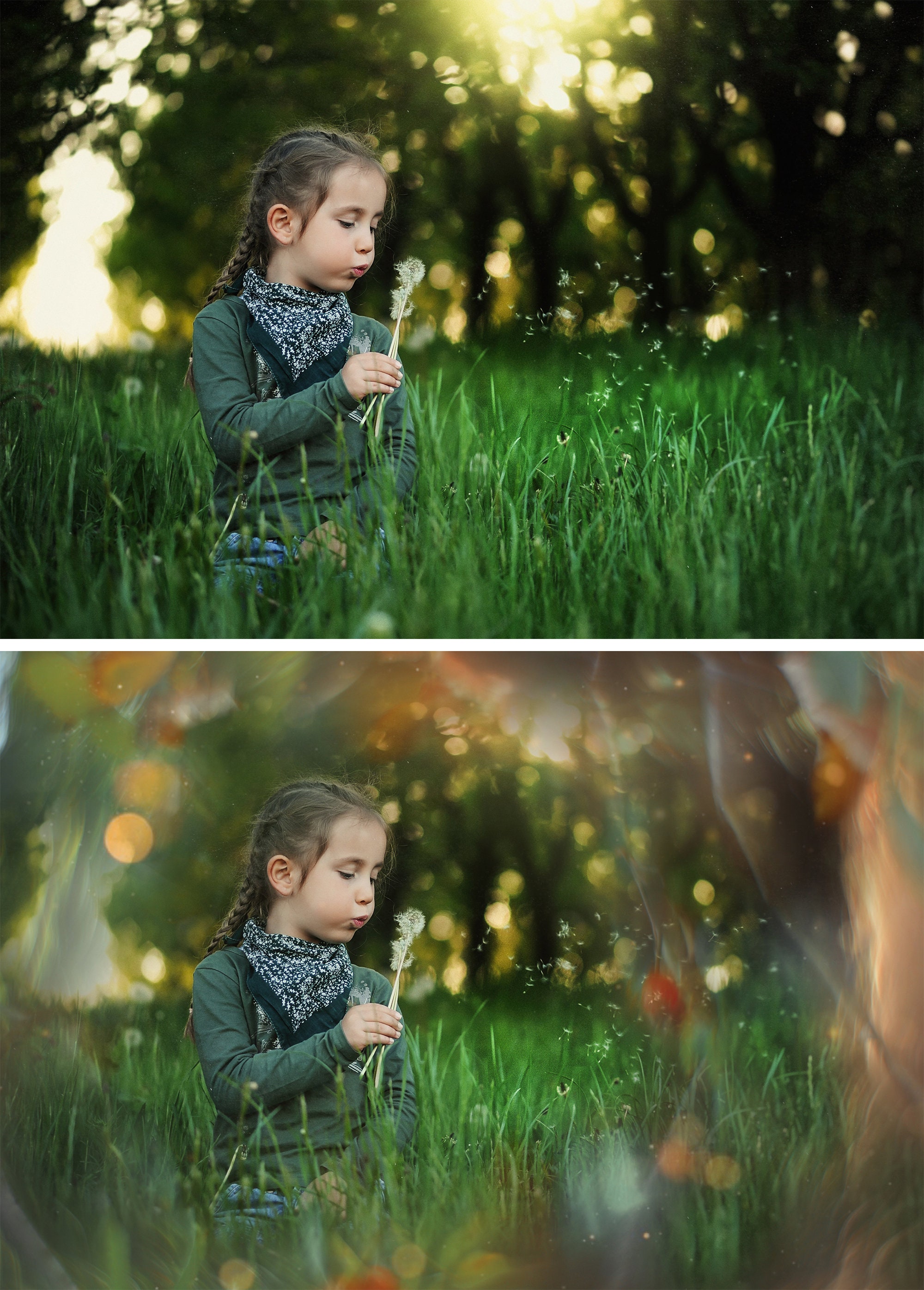 10 Swirly Bokeh Overlays Photoshop Overlays Blossom Flowers | Etsy