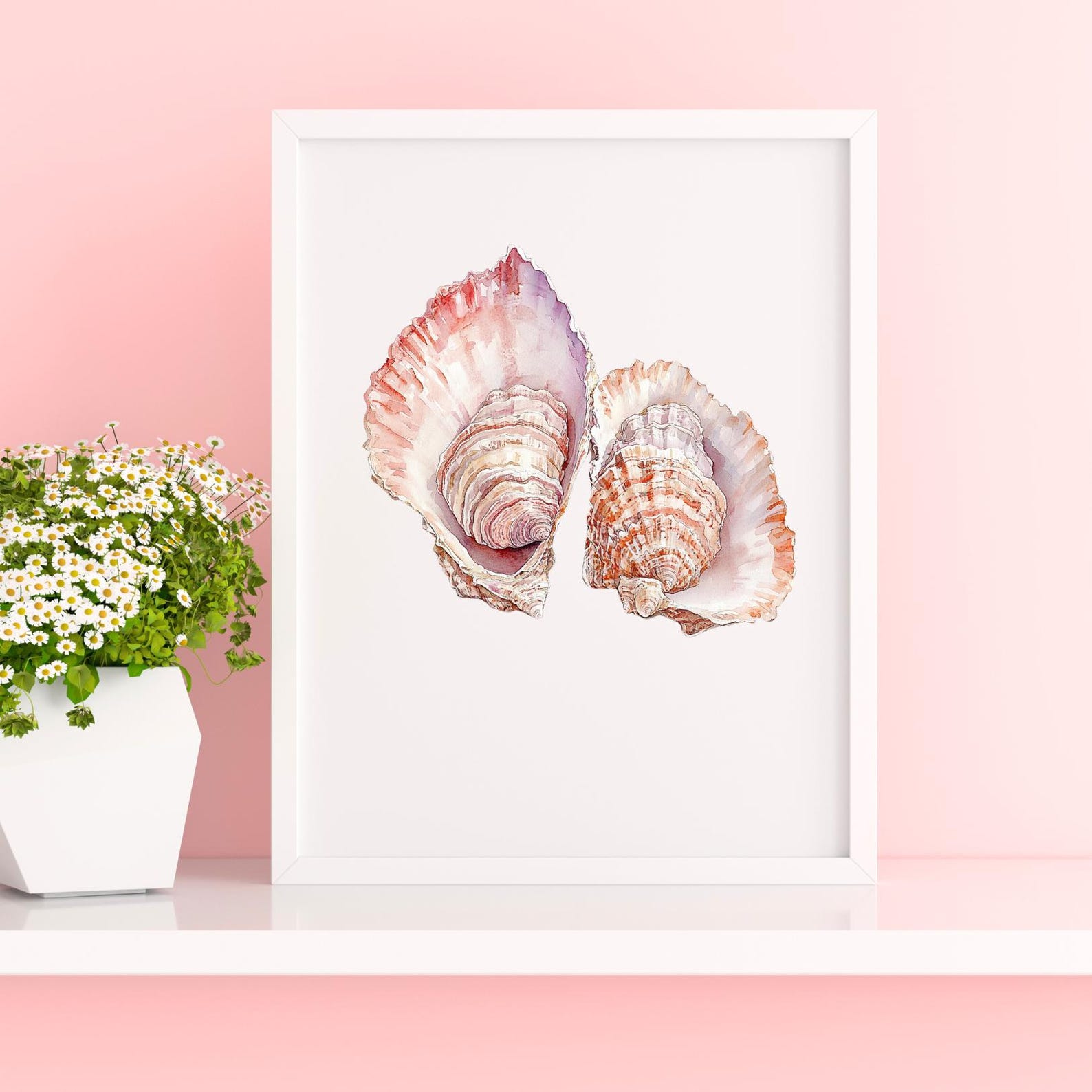 Sea Shells Watercolor Clipart: Summer Beach Theme (PNG) - Etsy