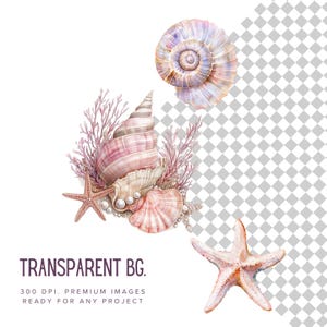 25 Sea Shells Watercolor Clipart PNG | Summer Beach Ocean Shells ...