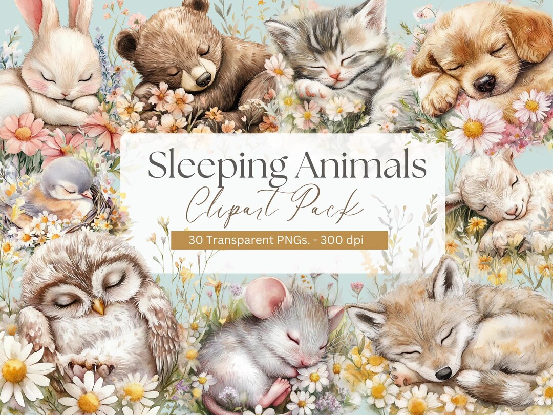 30 Watercolor Sleepy Animals Clipart Pack, Animals Bundle Clipart, Cute ...