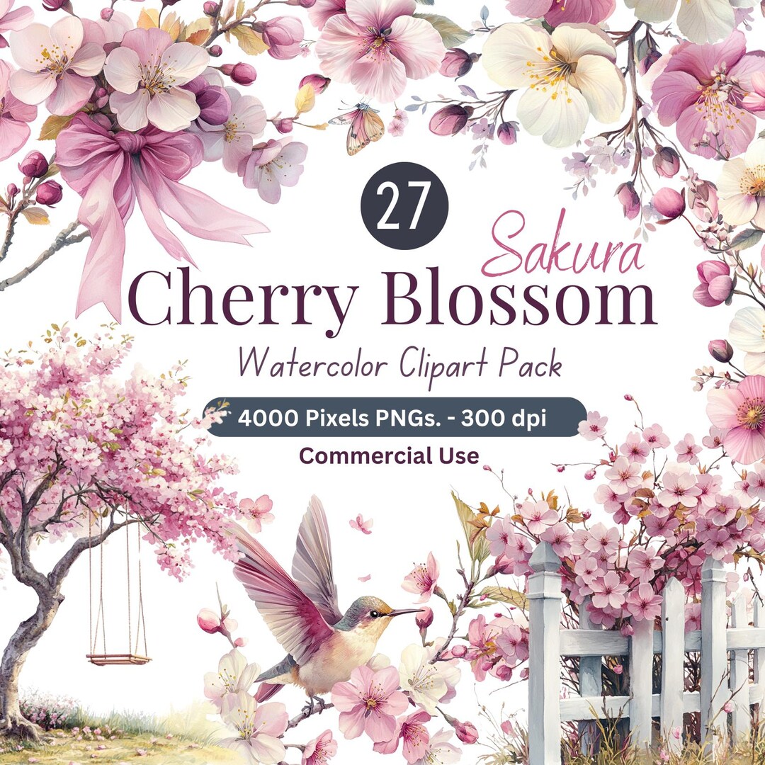 Cherry Blossom Watercolor Clipart: Sakura Floral PNG Bundle (commercial ...
