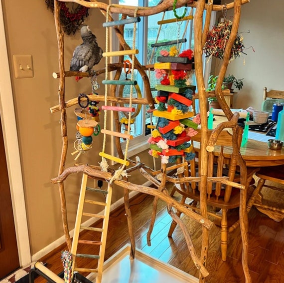 Bird Perch Stand