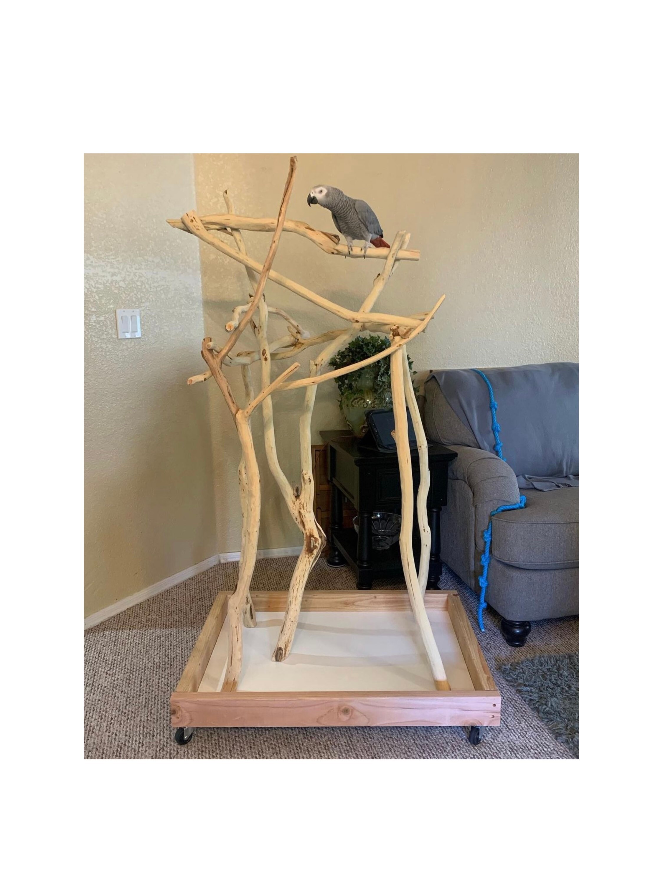 Bird Perch Stand