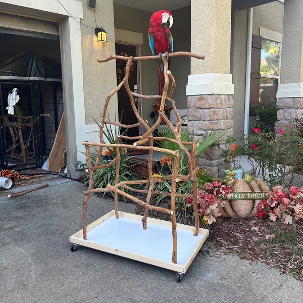Parrot Stand - Etsy