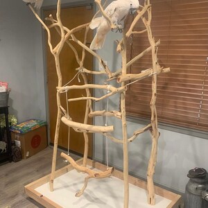 Large Bird Tree Jungle Perch Customize Your Perch - Etsy