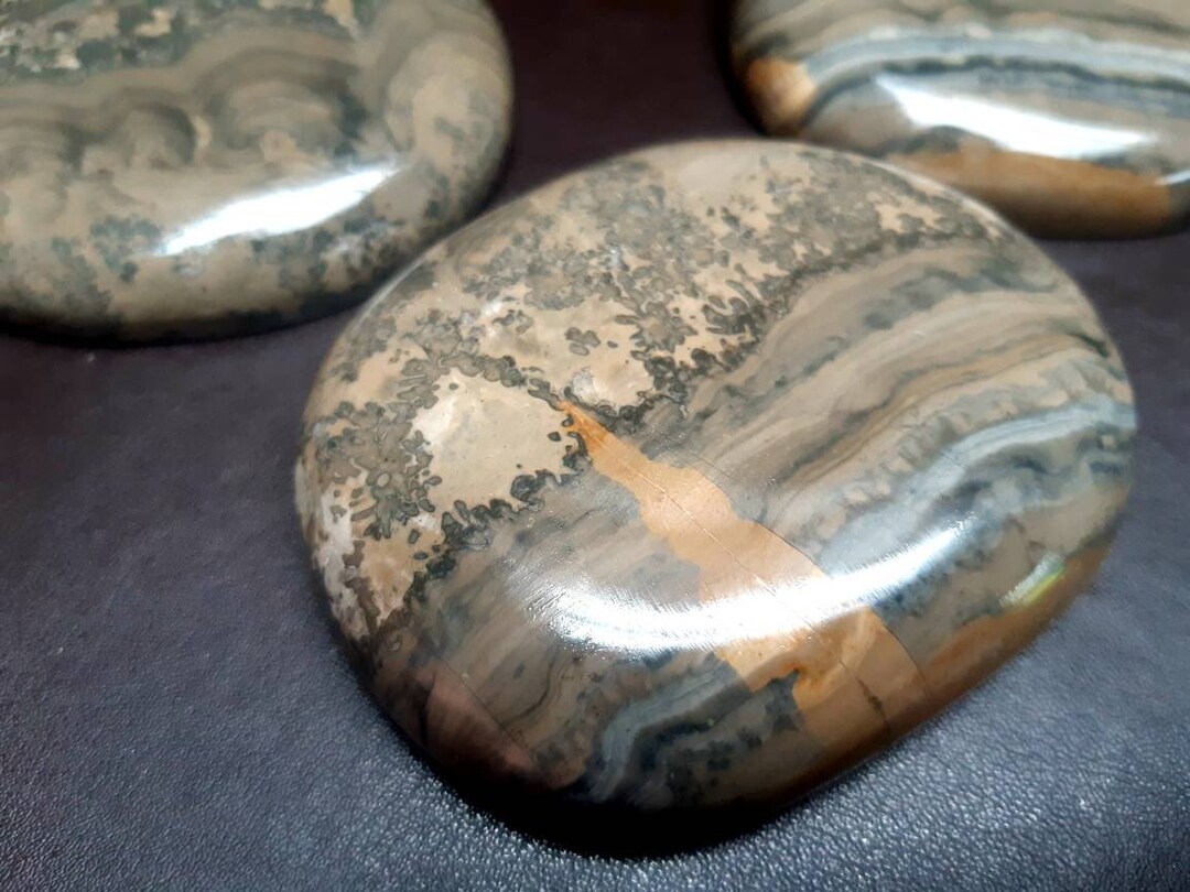 Cotham Marble. Stromatolite. Fossil Algae. Geological Specimen - Etsy