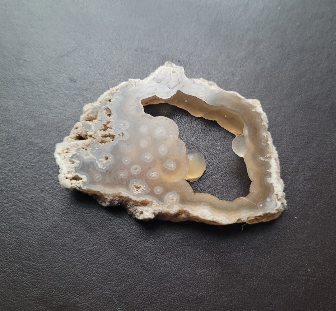 Agatized Coral Slice. - Etsy