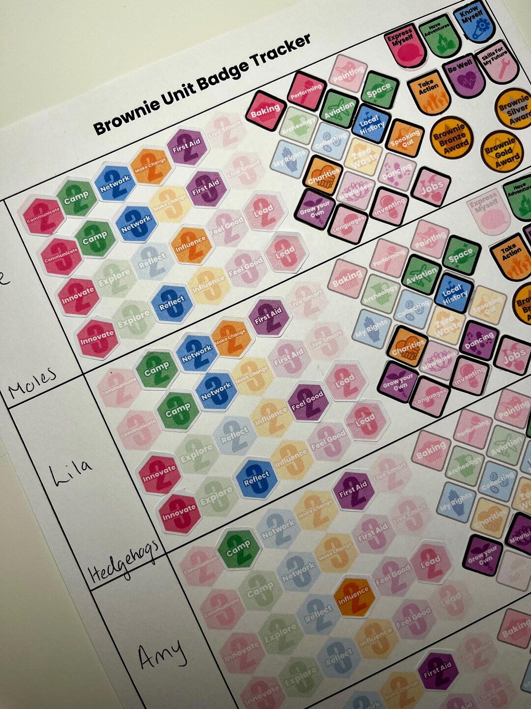 Girlguiding Unit Badge Tracker. Rainbows, Brownies, Guides, Rangers ...