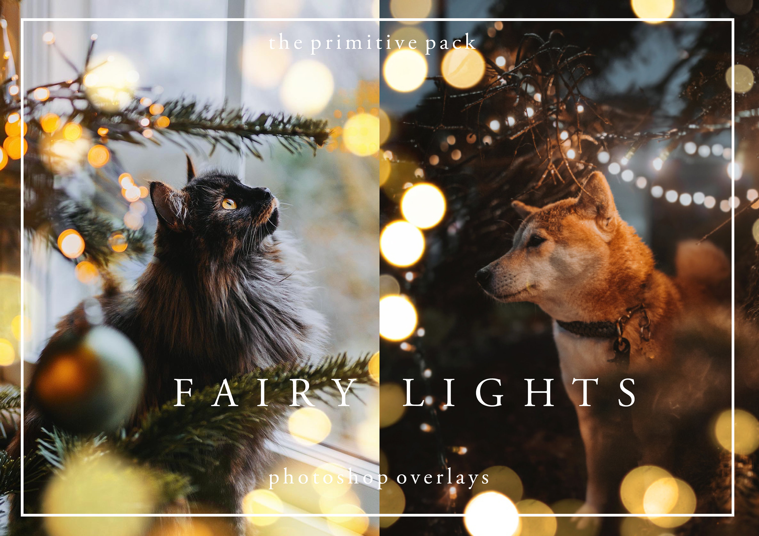 Fairy Lights Bokeh - Photoshop Overlays - the Primitive Pack - Etsy