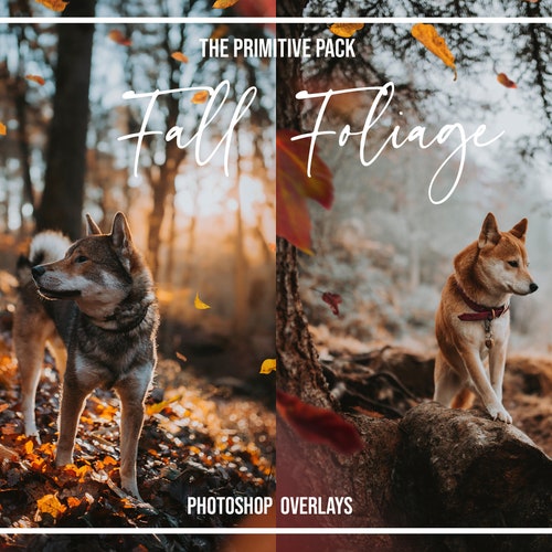 Fall Foliage Photoshop Overlays the Primitive Pack - Etsy