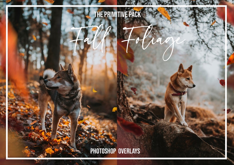 Fall Foliage Photoshop Overlays the Primitive Pack - Etsy
