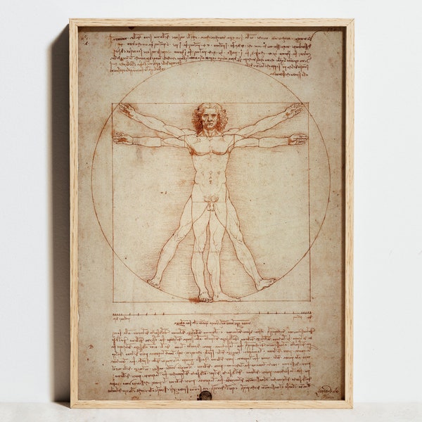 The Vitruvian Man Poster - Etsy
