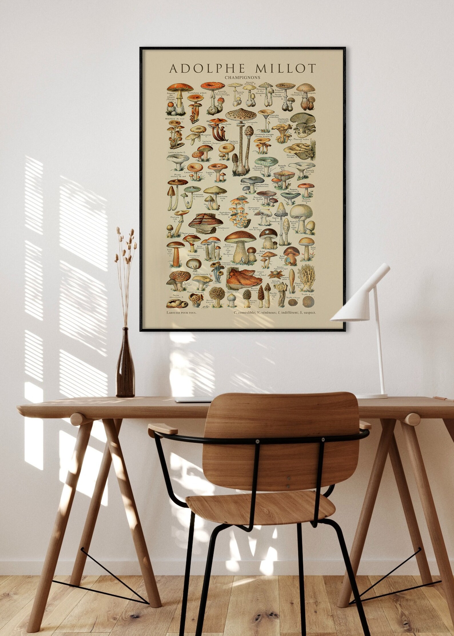 Vintage Mushroom by Adolphe Millot Print, Botanical French Floral Wall ...