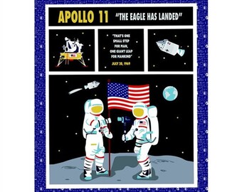 Nasa Quilt Panel - Etsy