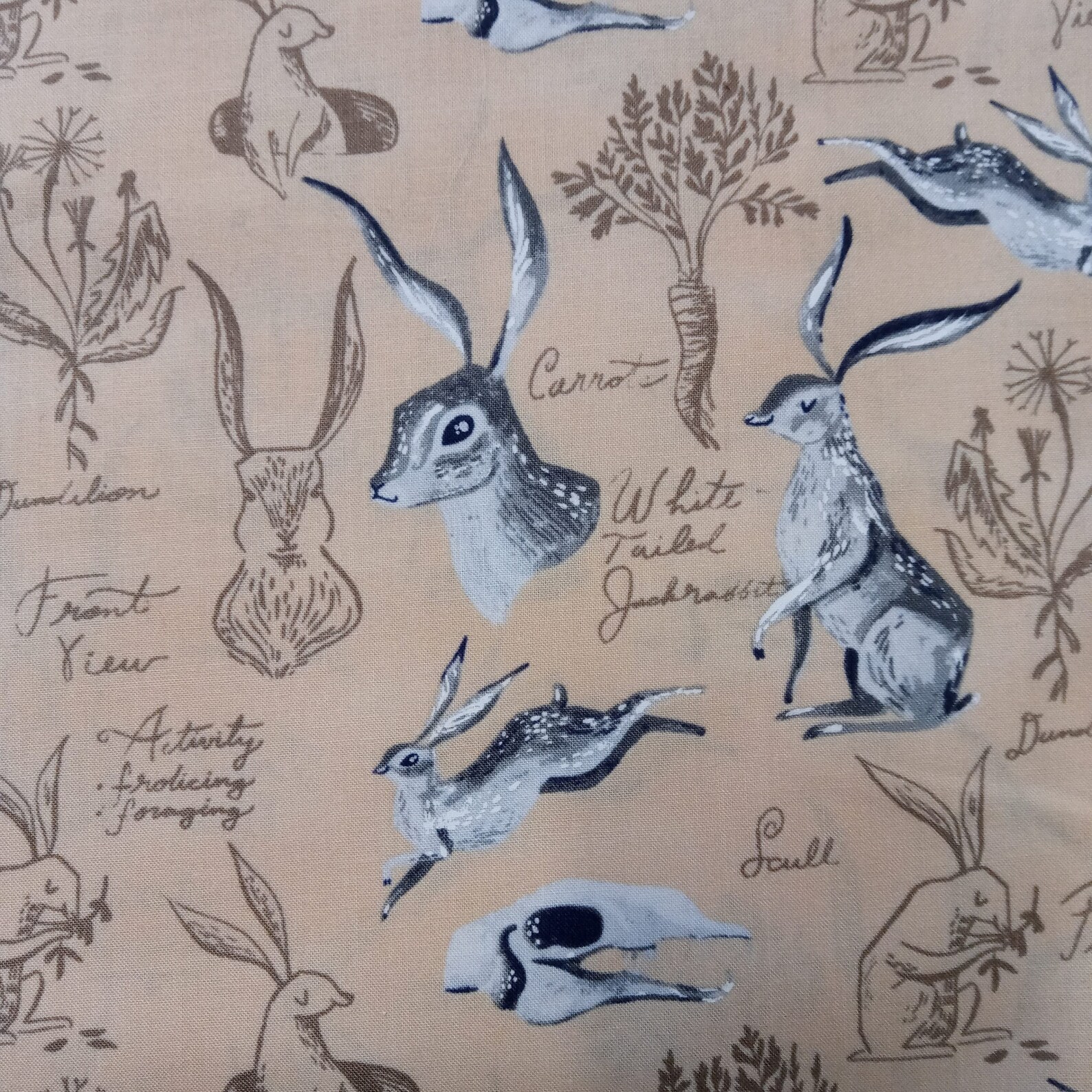 Fat Quarter Rabbit Study Rae Ritchie Rabbits Dear Stella - Etsy UK