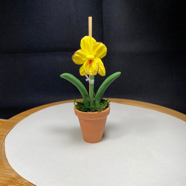 Clay Orchid Pot - Etsy